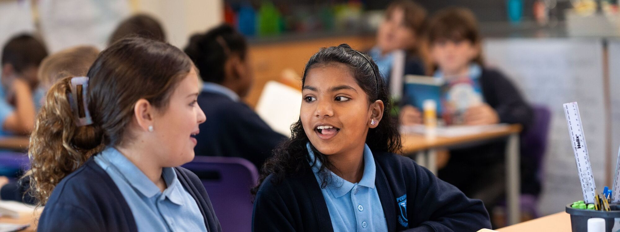 British Values - Pebsham Primary Academy